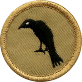 Raven Patrol | Scouts BSA Troop 108, Fort Mill, SC | ~ 80 Years of ...
