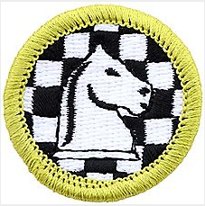 Chess Merit Badge Campout at Andrew Jackson State Park | Scouts BSA ...